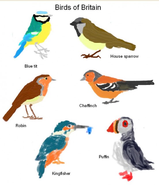 Bird Art | Stretton Handley Primary School Birdcam & Wildlife Blog